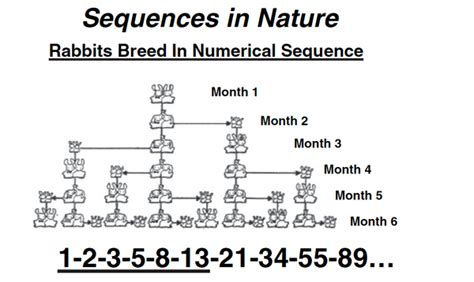 Using Fibonacci Levels To Time Retracements