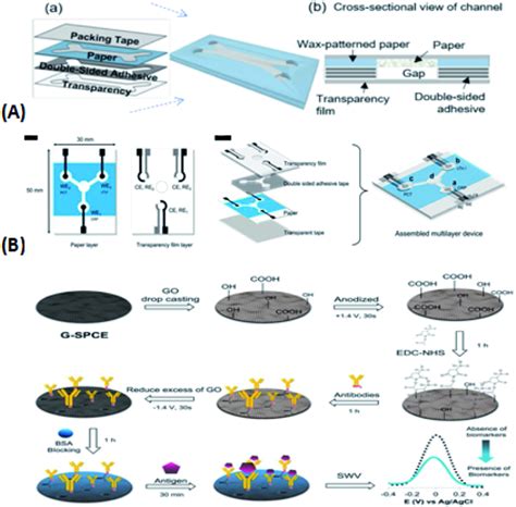A Assembly And Flow Characteristics Of Microfluidic Paper Based