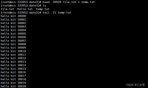 Linux入门 ＞ 常见指令汇总ls I Csdn博客