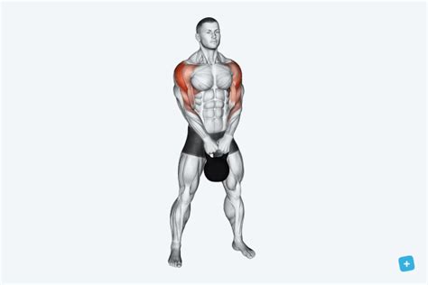 Gym Workout Shoulder Chart