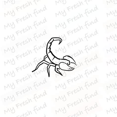 Scorpion Svg Outline Sublimation Print Png Digital Download Hand Drawn