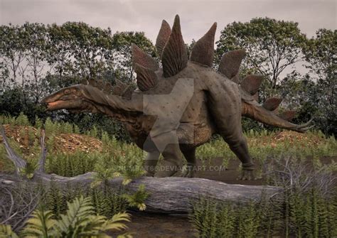 Stegosaurus Facts And Pictures