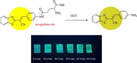 A Sensitive Benzothiazole Fluorescent Probe For The Detection Of γ‐glutamyl Transpeptidase