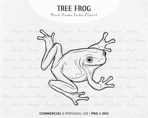 Tree Frog SVG Clipart Frog Vector Drawing Green White And Red Eyed