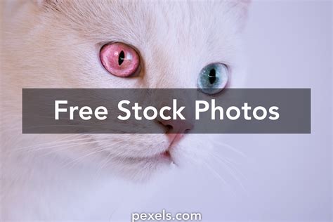 Gene Mutation Animation Photos Download The Best Free Gene Mutation