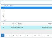 Feature Rich Data Table Plugin For Bootstrap Free JQuery Plugins