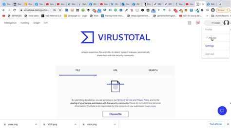 How To Find Your Virustotal Api YouTube
