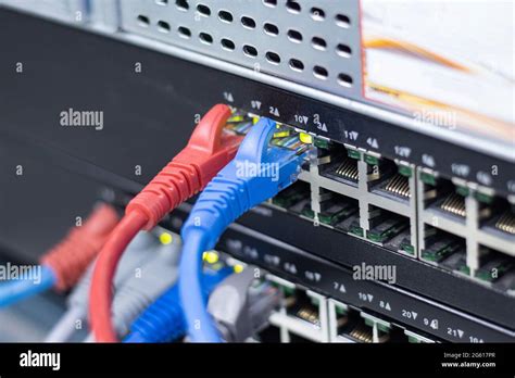 Network Switch Cable Type At Despina Olson Blog Network Switch Cable Type At Despina Olson Blog