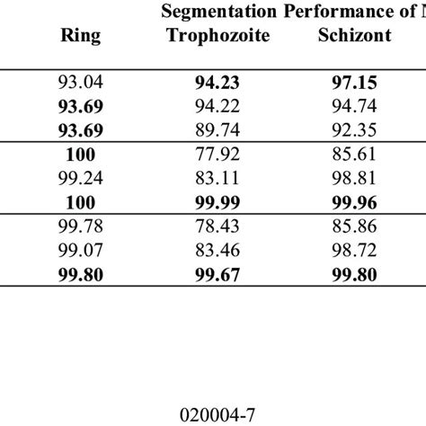segmentation performances for different segmentation techniques