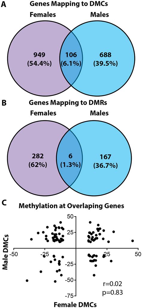 Sex Specific Programming Of Cardiac Dna Methylation By Developmental Phthalate Exposure Laurie