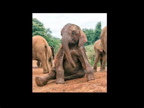 Computer Graphics Presentation Assignment 3 Ppt