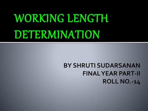 Bsp Bpe Guidelines 2019 Pdf