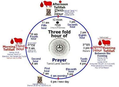 Pin On Bible