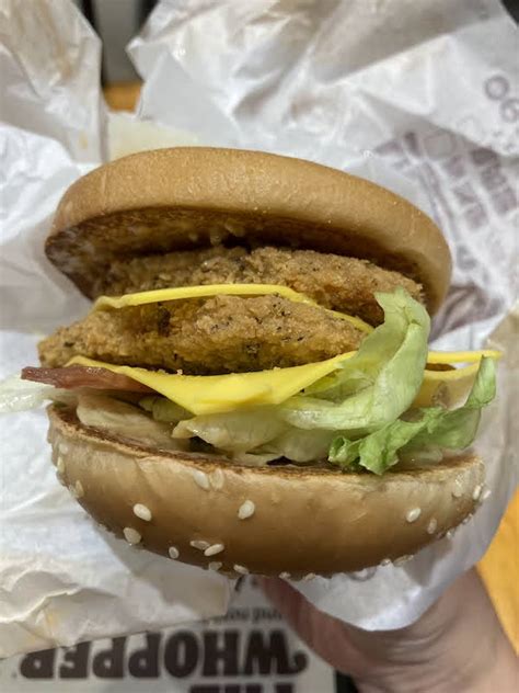 菜鳥工程師 肉豬 今日風情 20230502