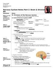 Nervous System Guided Notes Part Docx Zahra Kagdi Rd Period Nervous System Chapter