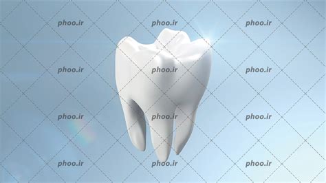 عکس با کیفیت یک دندان براق و سفید از نمای نزدیک در بک گراند آبی عکس