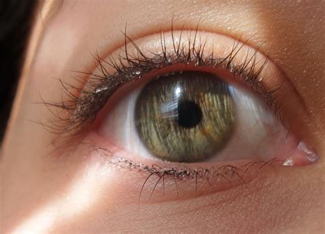 Manyvids Com Alex Coal Megapack Part Videos