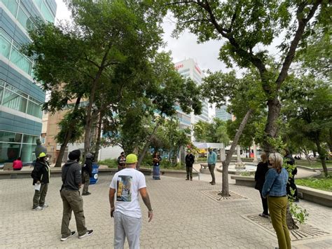 Contact Dcsp Downtown Community Safety Partnership