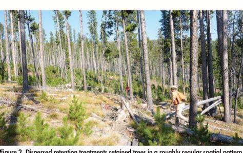 Figure 2 From Variable Retention Harvesting As A Silvicultural Option