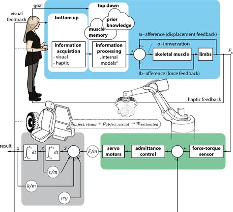 Figure 7 From Optimizing Haptic Human Robot Collaboration Considering Human Perception And