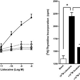 A Dose Response Curve Of Lidocaine Alone Or In The Presence Of Download Scientific