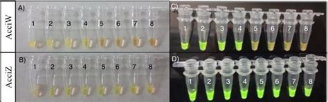 Pdf Sex Determination In The Wild A Field Application Of Loop