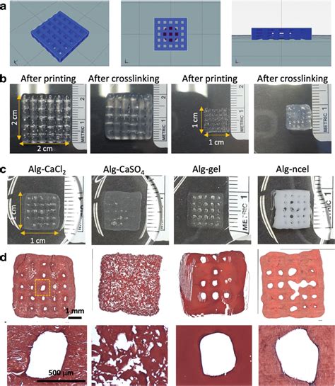 Alginate Based Bioinks For 3d Bioprinting And Fabrication Of Anatomically Accurate Bone Grafts