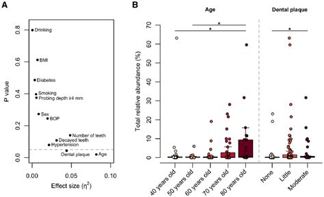High Resolution Detection Of Translocation Of Oral Bacteria To The Gut