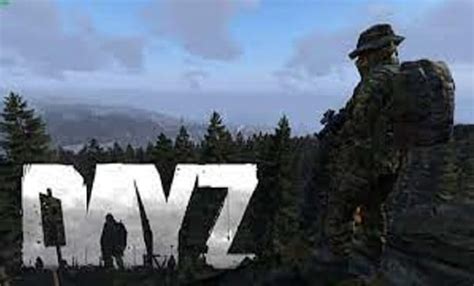 create a dayz server with mods and scripts by bhoryd fiverr