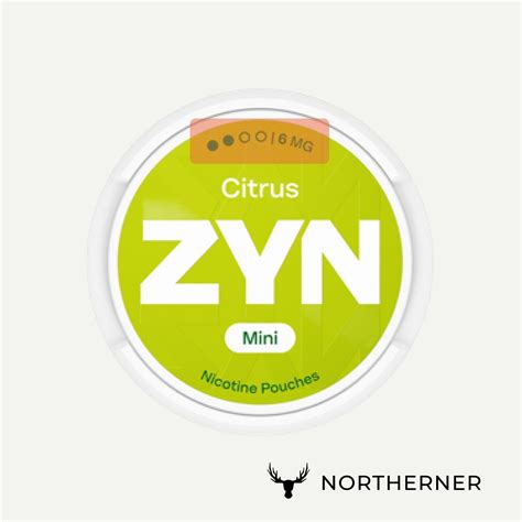 Zyn Review 2026 Flavours Strengths And What To Expect