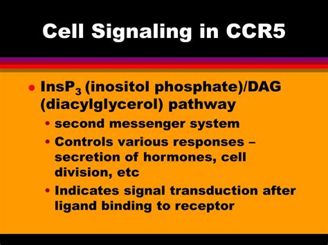 Ppt A Closer Look At The Interaction Between Ccr5 And Hiv Powerpoint