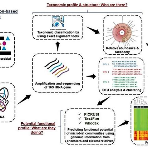 Figure5 General Pipeline And Bioinformatic Tools Considered For The