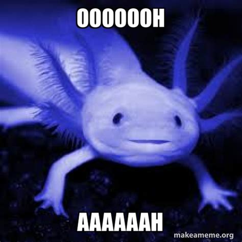 Ooooooh Aaaaaah Meme Generator