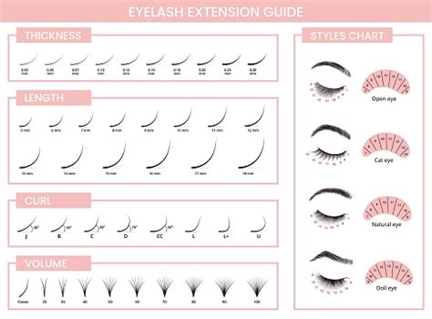 Ilustración De Guía De Extensiones De Pestañas Tipos De Extensiones De