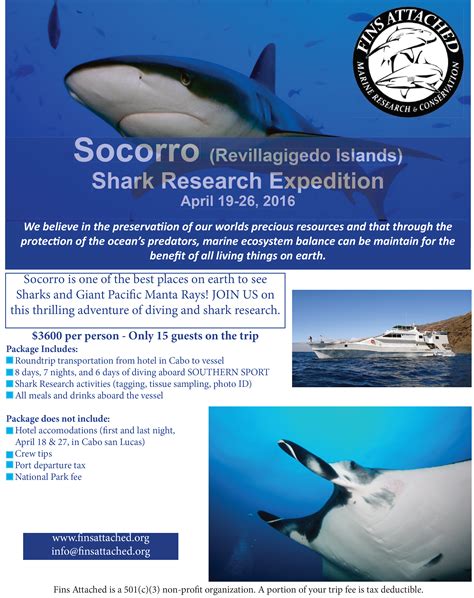 2016 Socorro Island Shark Research Expedition Join Us Shark Marine