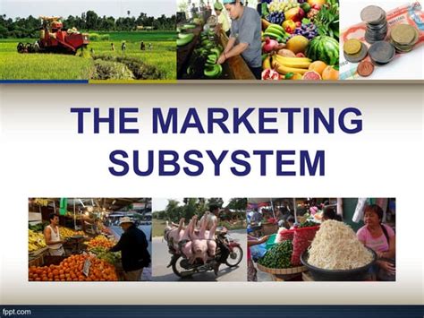 Marketing Subsystem Group 2pdf Pdf Agriculture Industries