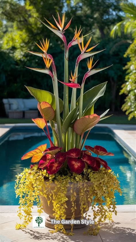 50 Pool Planter Ideas To Transform Your Pool Area Into An Oasis The