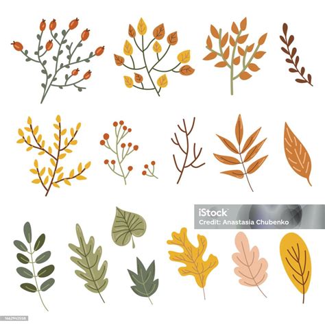 나뭇잎과 나뭇 가지가 가을입니다 손 그리기 요소 집합입니다 벡터 그림 잔가지에 대한 스톡 벡터 아트 및 기타 이미지 잔가지 산 딸기류 예술 Istock