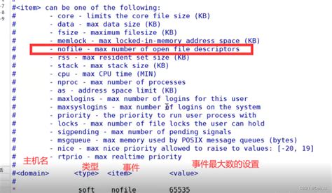 Nginx网站服务详解（nginx服务的主配置文件 ——nf） Csdn博客