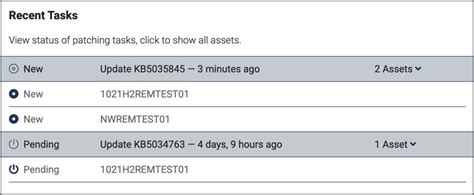 Creating A Patching Task Igi Nodeware