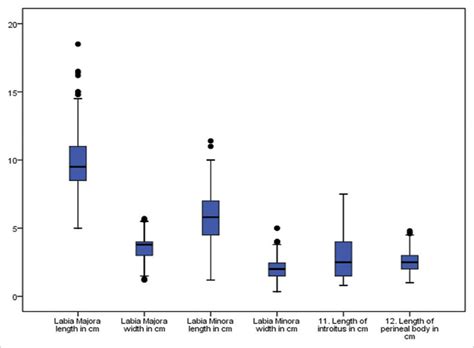 Vulvar And Vaginal Anatomical Variations In Indian Women A Cross