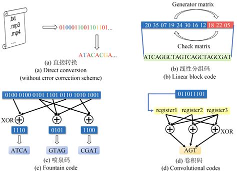 Dna数字信息存储的研究进展 Dna信息库的方式 Csdn博客