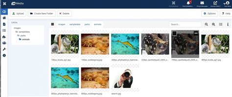 Introducing The Joomla 4 Media Manager Features Joomlashack