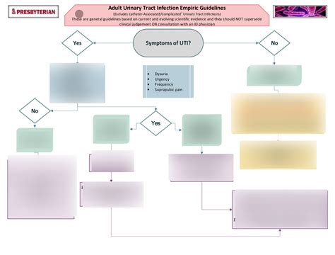 Adult Uti Algorithm Diagram Quizlet