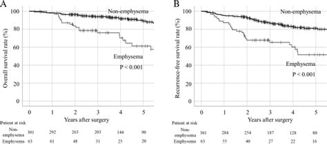 Postoperative Overall Survival A And Recurrence Free Survival B