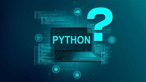 Why Is Python So Popular Still In 2024 Explained