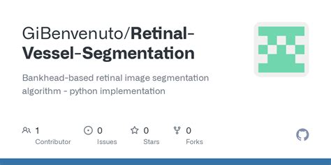 Github Gibenvenutoretinal Vessel Segmentation Bankhead Based