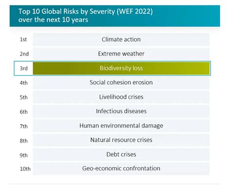 Robeco To Launch Biodiversity Equities Strategy Robeco Global