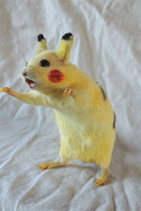 Taxidermy Cute Rat Pika Cartoon Japanese Taxidermy Rat Pika Etsy