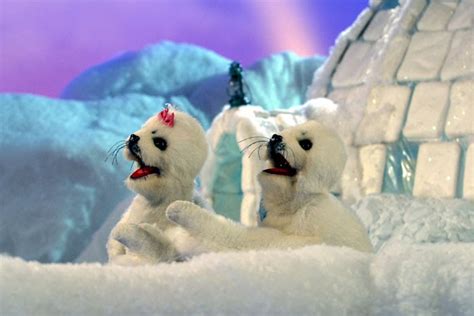 Donát Szerint A Világ Igloo Gloo